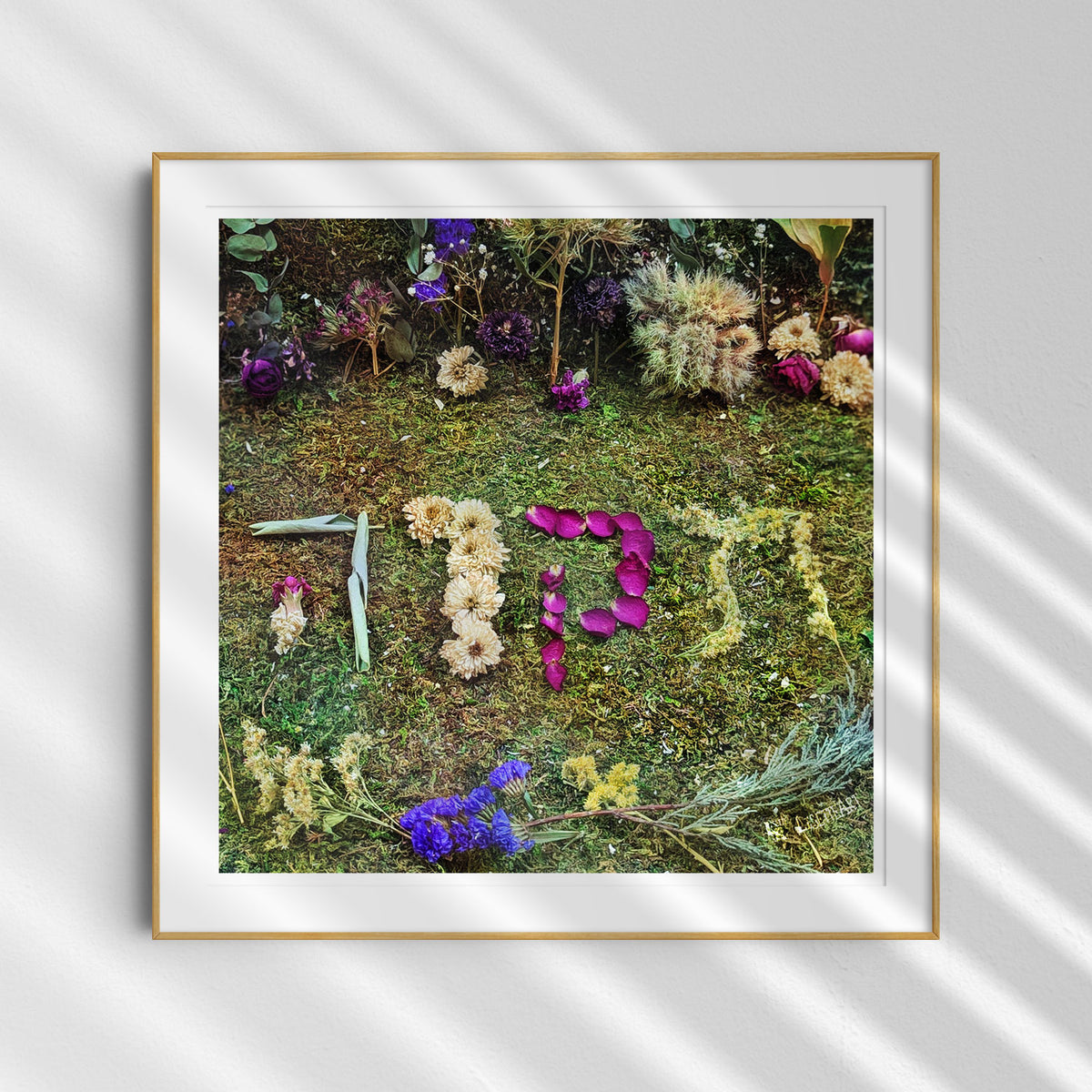 Tikvah (Hope) - Dried Flowers Judaica Photo Art Print, Hebrew Wall Art ...
